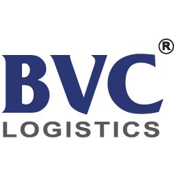 BVC Services - Summary